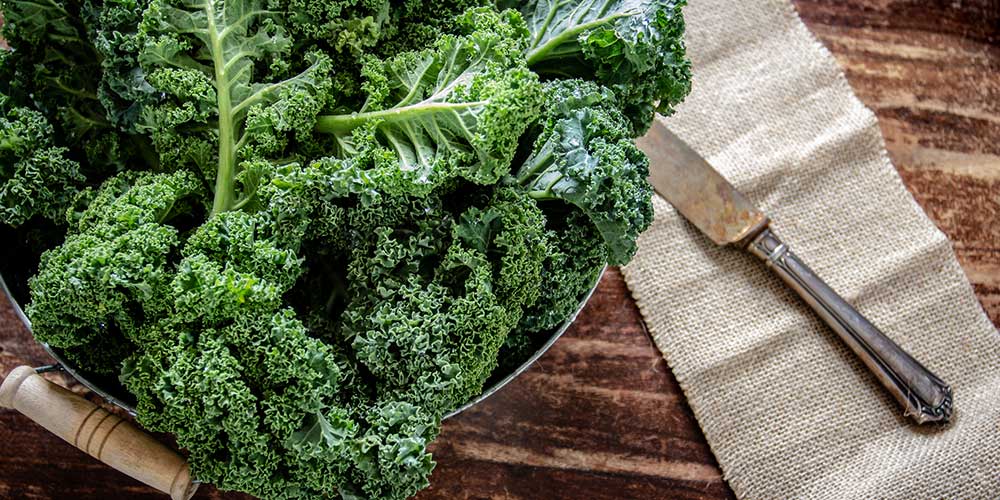 Conectando Pacientes | ¿Conoces el Kale o Col Rizada?