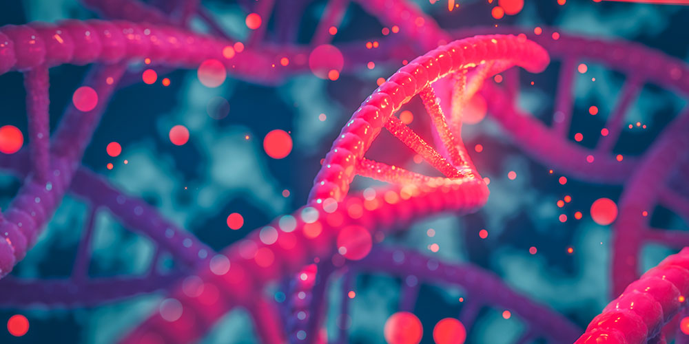 Conectando Pacientes | Identifican un nuevo gen que puede aumentar el ...